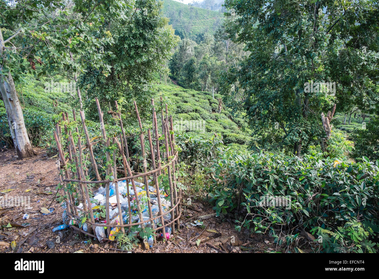 Plastic rubbish in bin at Little Adam's Peak. green scenery.Hill,mount ...