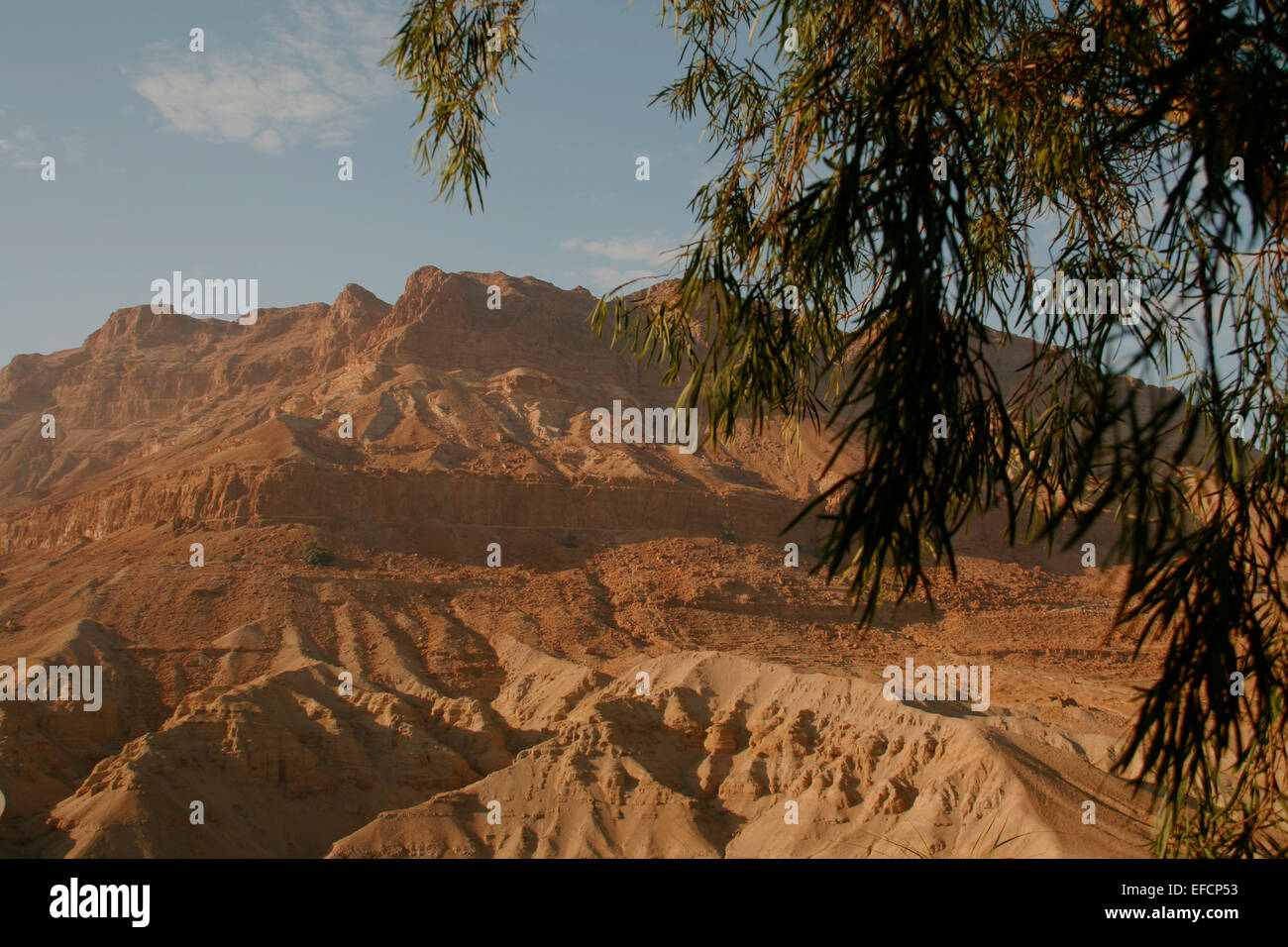 Palestine landscape hi-res stock photography and images - Alamy