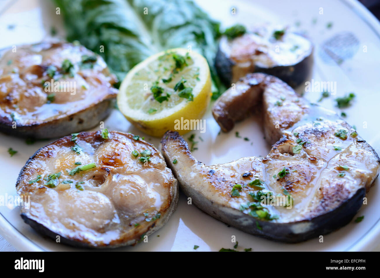Swordfish island hi-res stock photography and images - Alamy