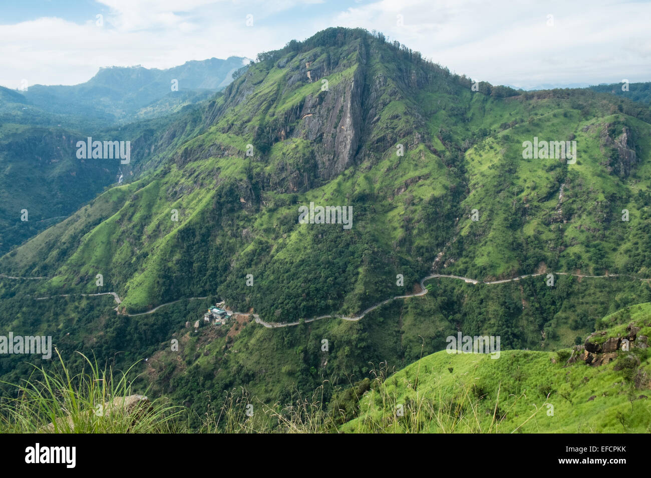 View of Adam's Peak as seen from top of Little Adam's Peak. green ...