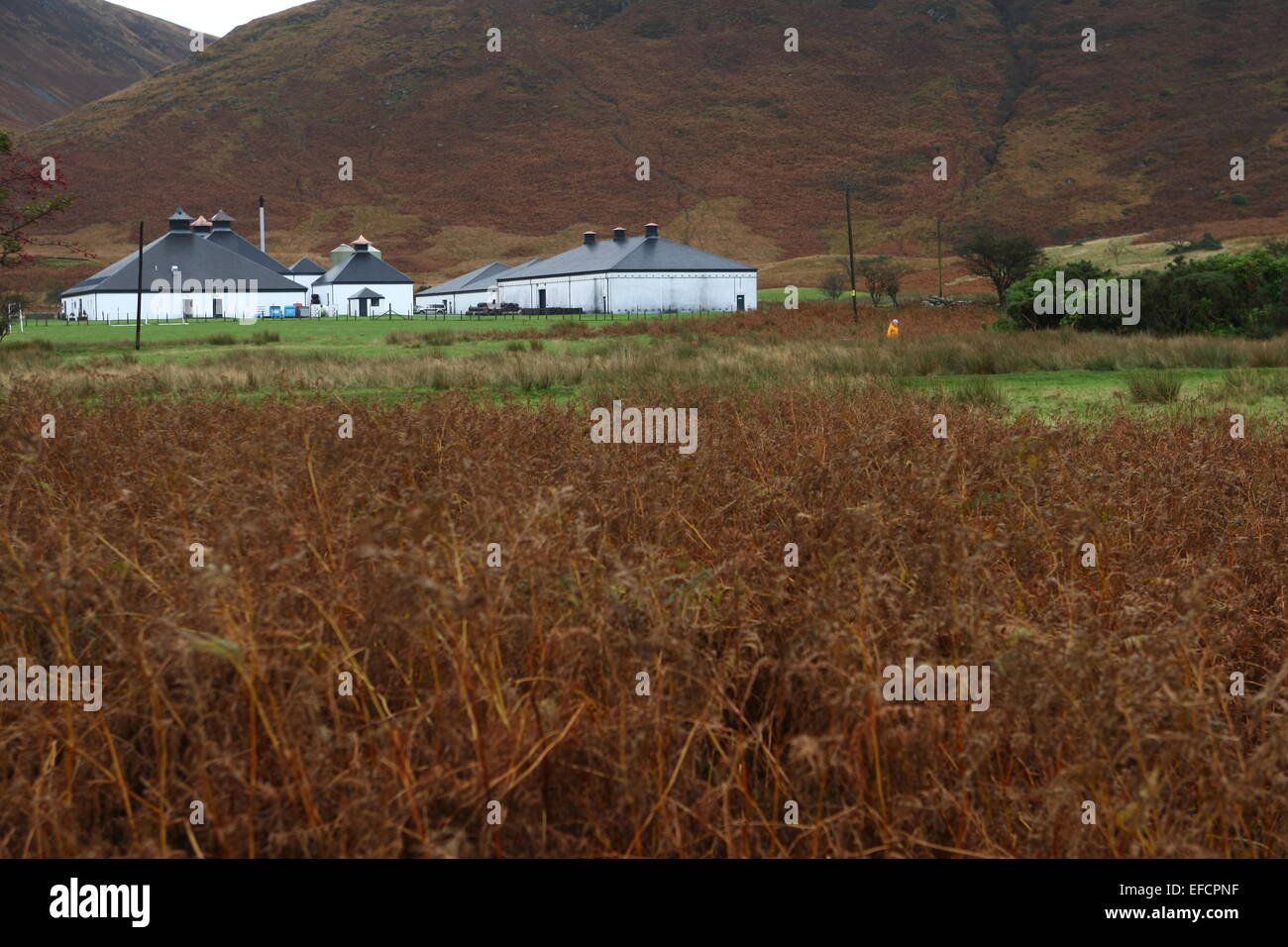 The Isle of Arran whiskey distillery in autumn. Lochranza,Isle of Arran ...