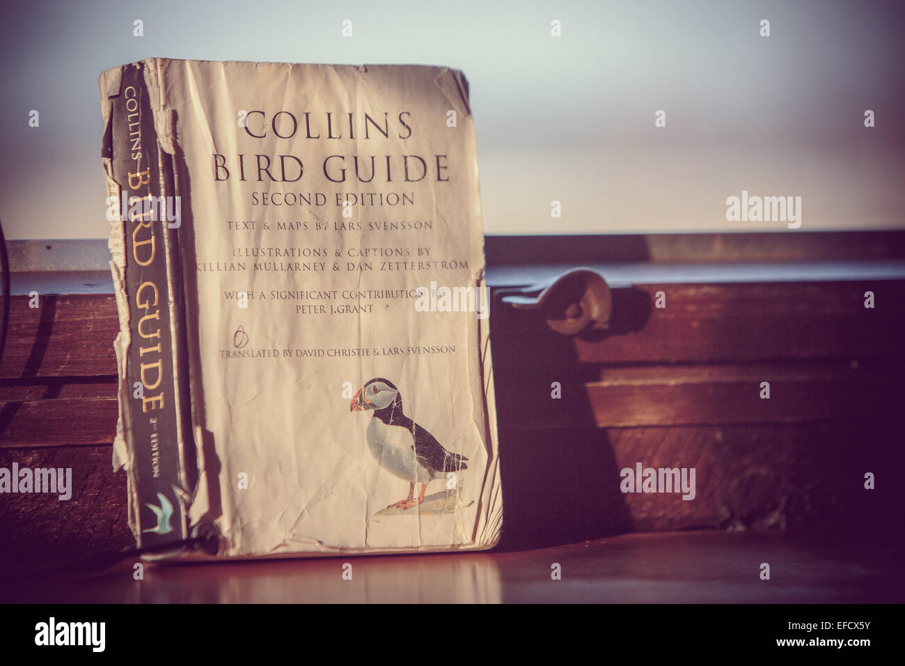 Bird watching at Martin Mere Stock Photo - Alamy