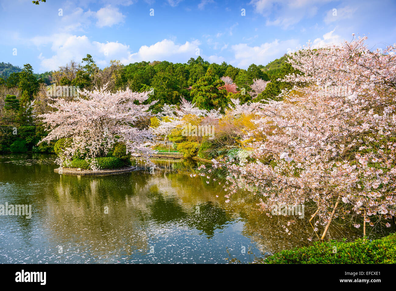 Ryoanji High Resolution Stock Photography and Images - Alamy