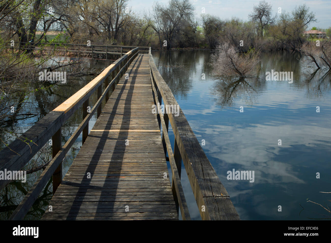 Neidrach Nature Trail boardwalk, Barr Lake State Park, Colorado Stock ...