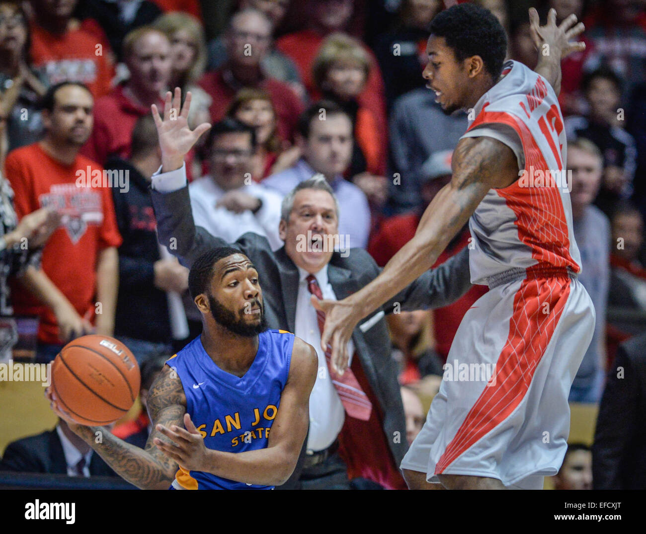 Lobo ii hi-res stock photography and images - Alamy