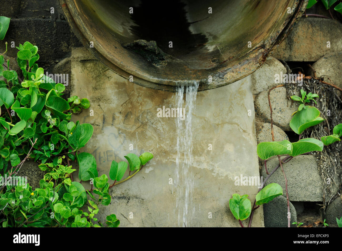Storm sewer outlet hi-res stock photography and images - Alamy