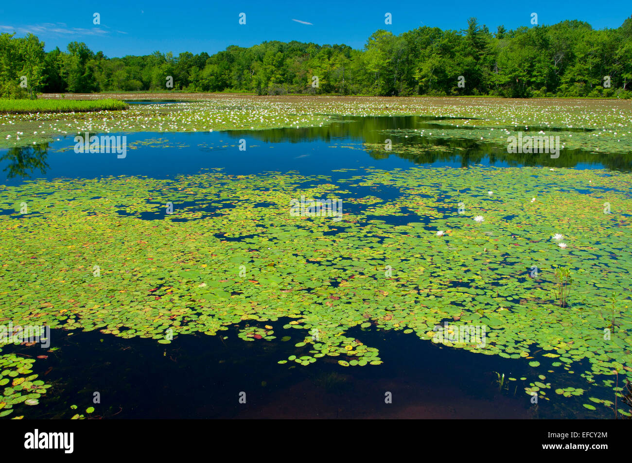 Bolton notch state park hi-res stock photography and images - Alamy