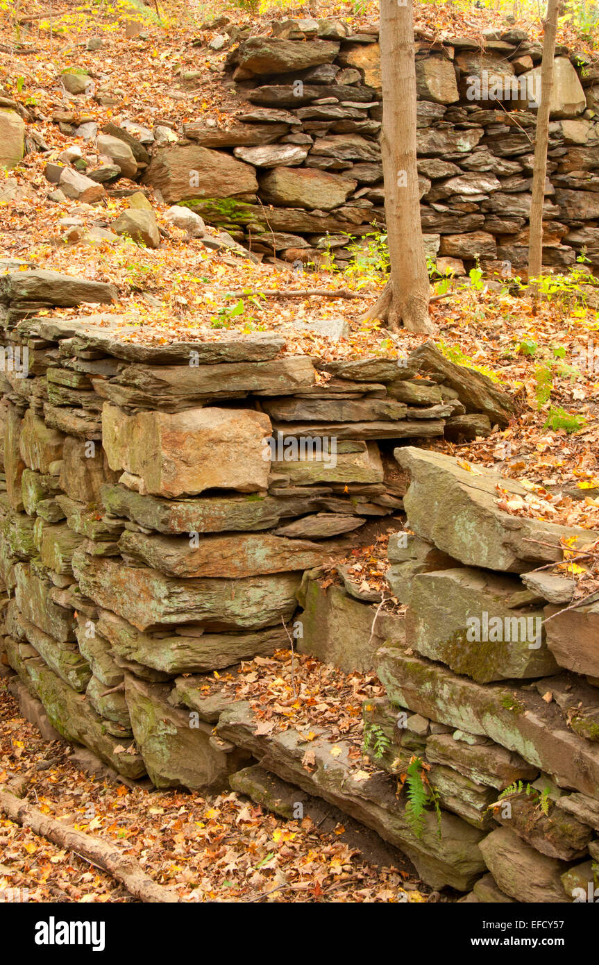 Vernon falls hi-res stock photography and images - Alamy