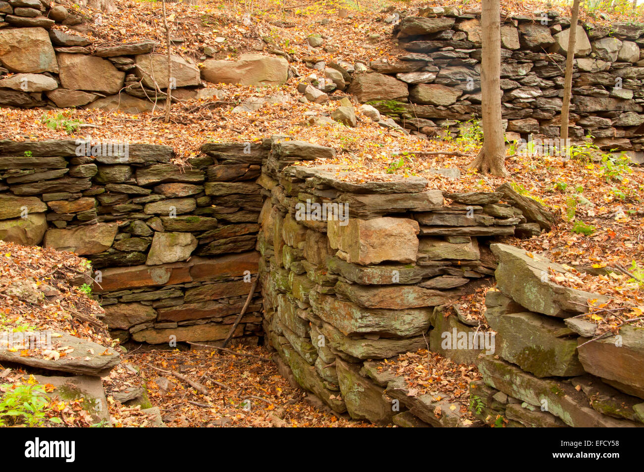 Vernon falls hi-res stock photography and images - Alamy