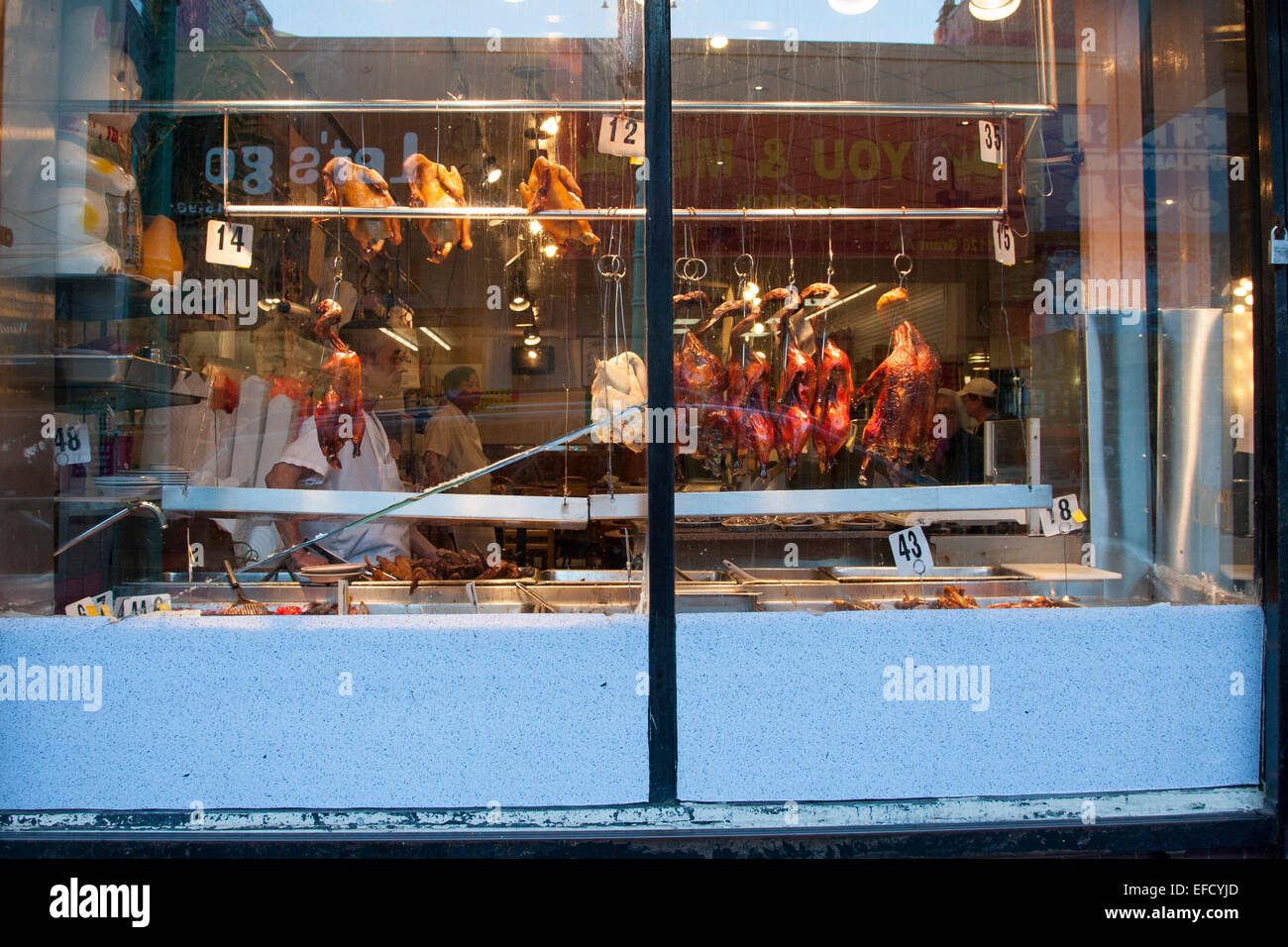 Cooked, whole ducks hanging in a window in Chinatown, San Francisco ...