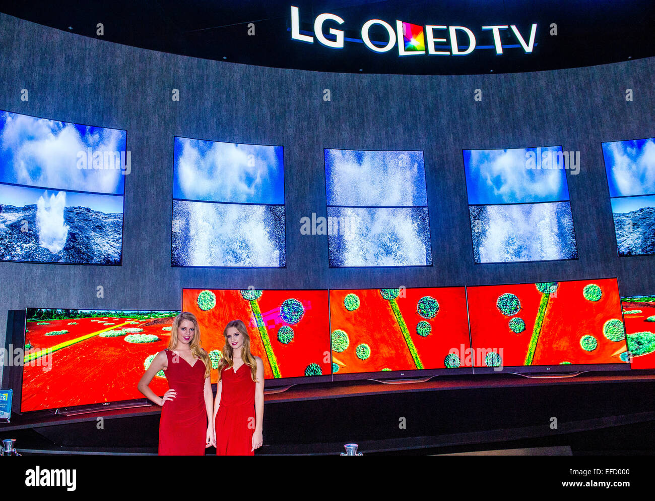 The LG booth at the CES show held in Las Vegas Stock Photo - Alamy