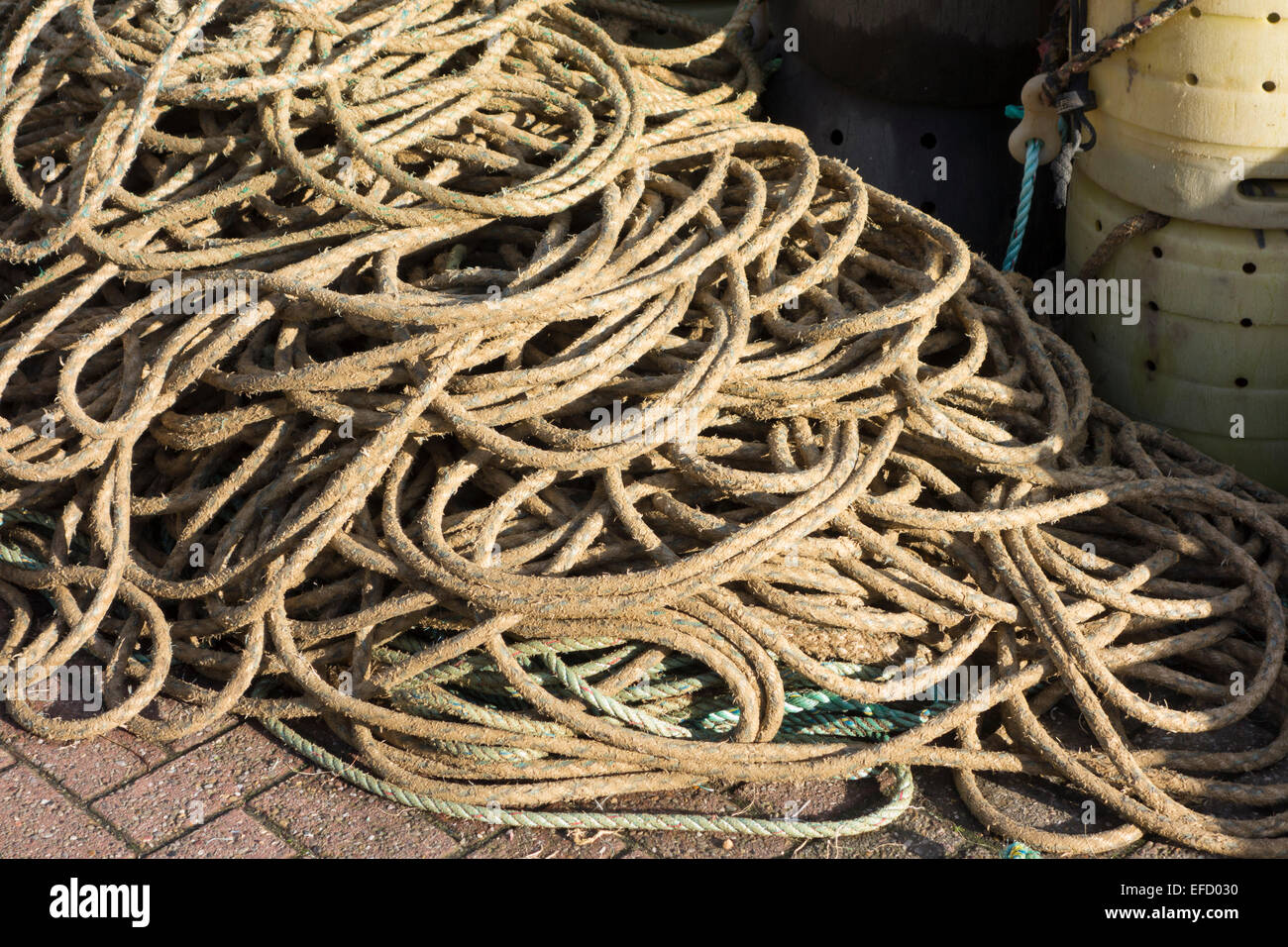 Crab and lobster pot ropes Stock Photo - Alamy