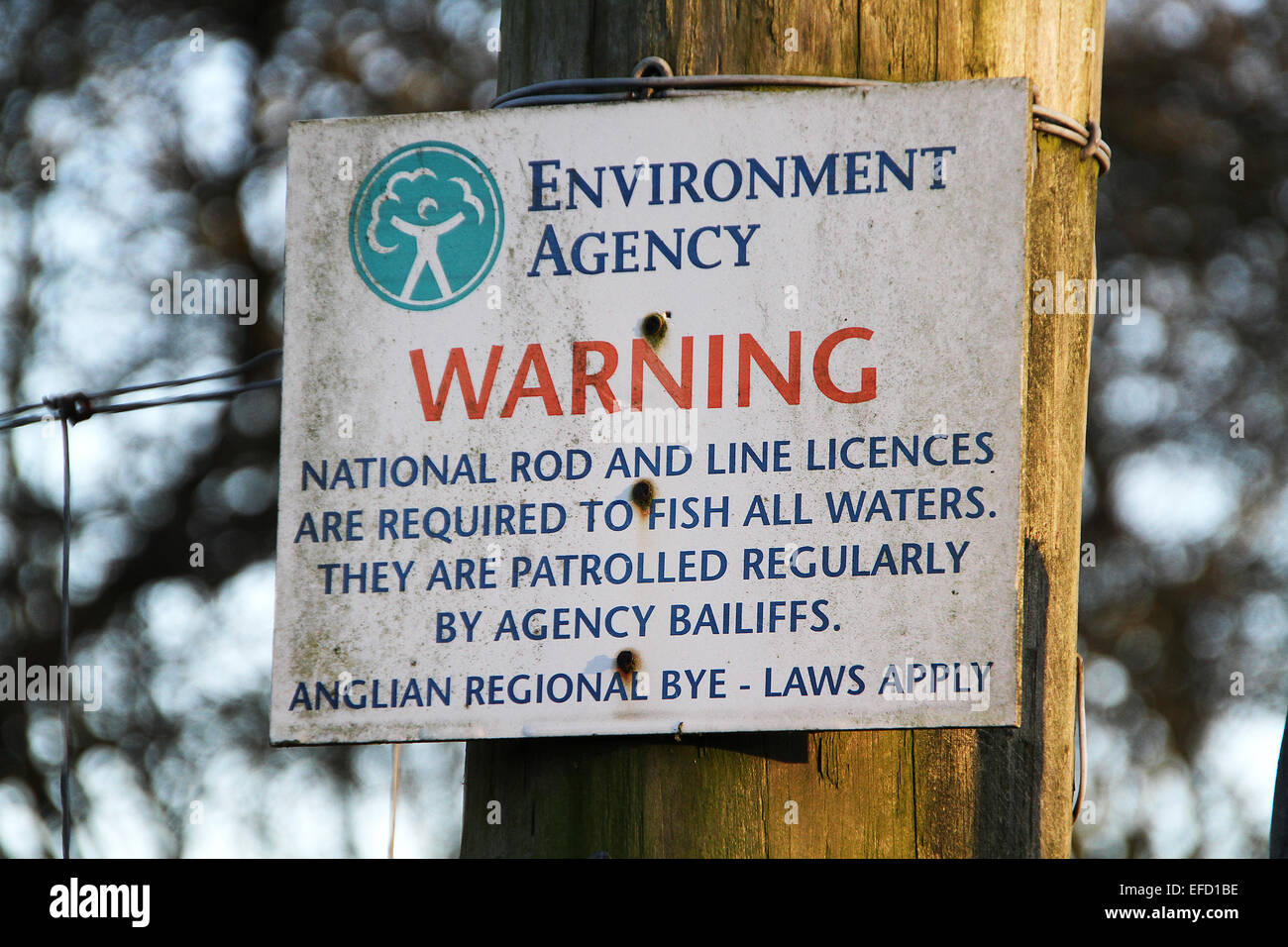 Permit fish hi-res stock photography and images - Alamy