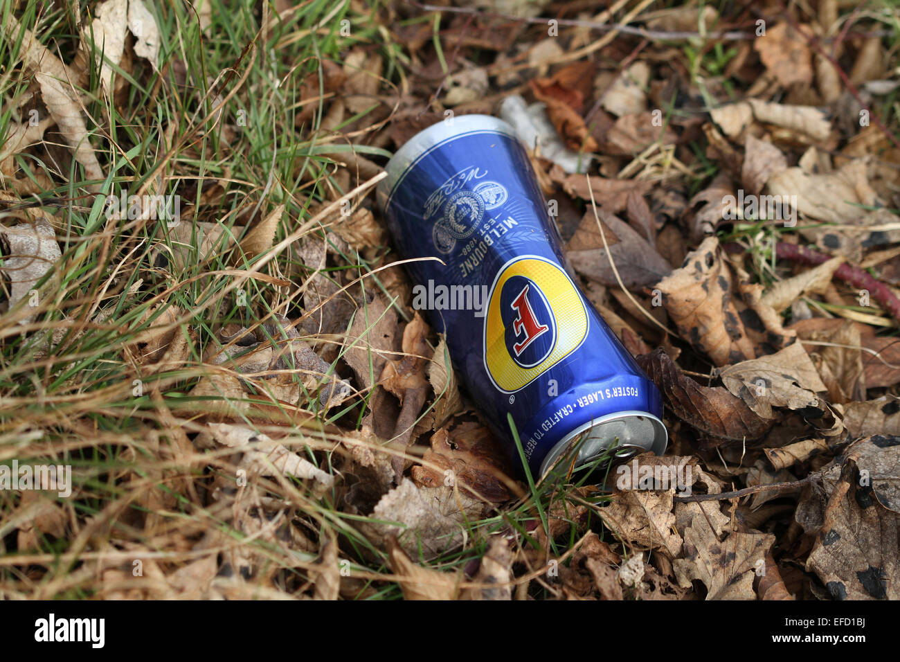 Discarded beer can in leaves Stock Photo - Alamy