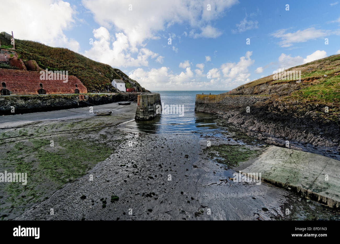 The harbour at Porth Gain, Pembrokeshire at low tide Stock Photo - Alamy