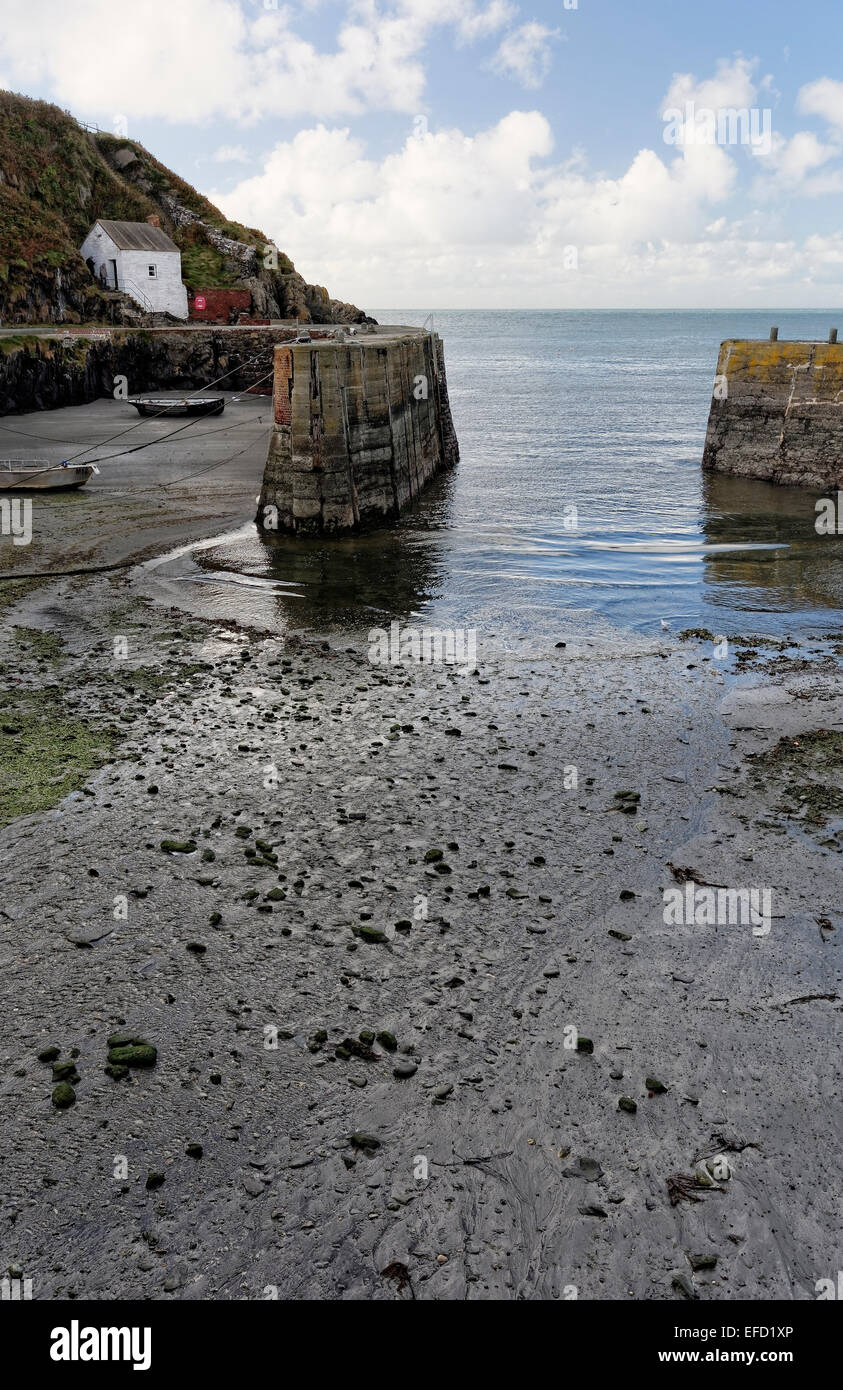 The harbour at Porth Gain, Pembrokeshire at low tide Stock Photo - Alamy