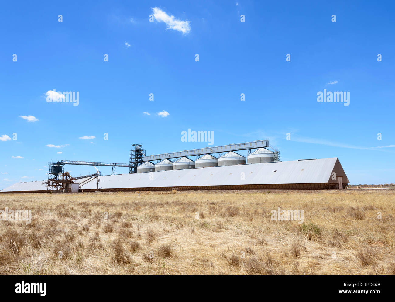 Nevertire Silo, GrainCorp, New South Wales, Australia Stock Photo - Alamy