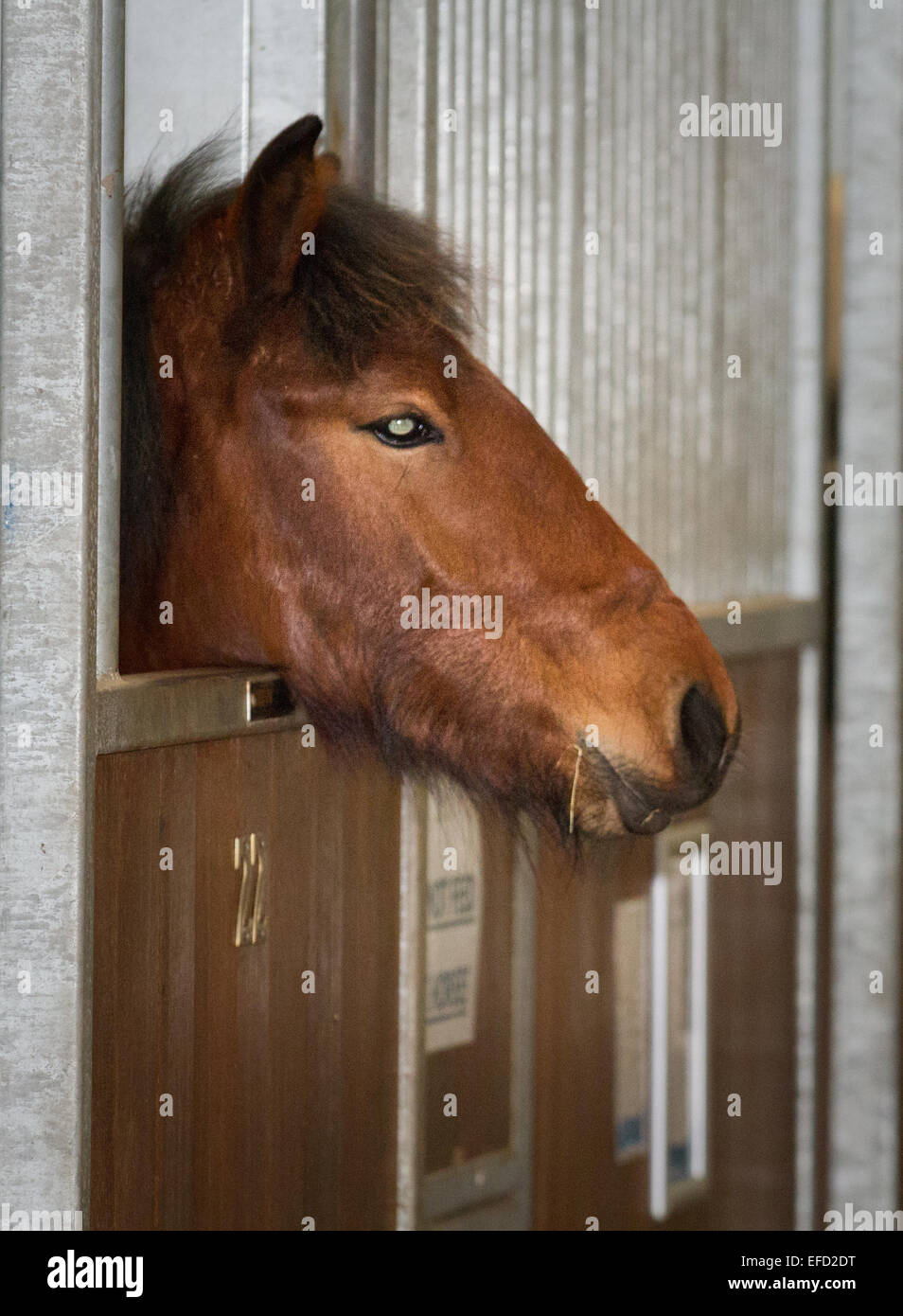 Penny farm blackpool hi-res stock photography and images - Alamy