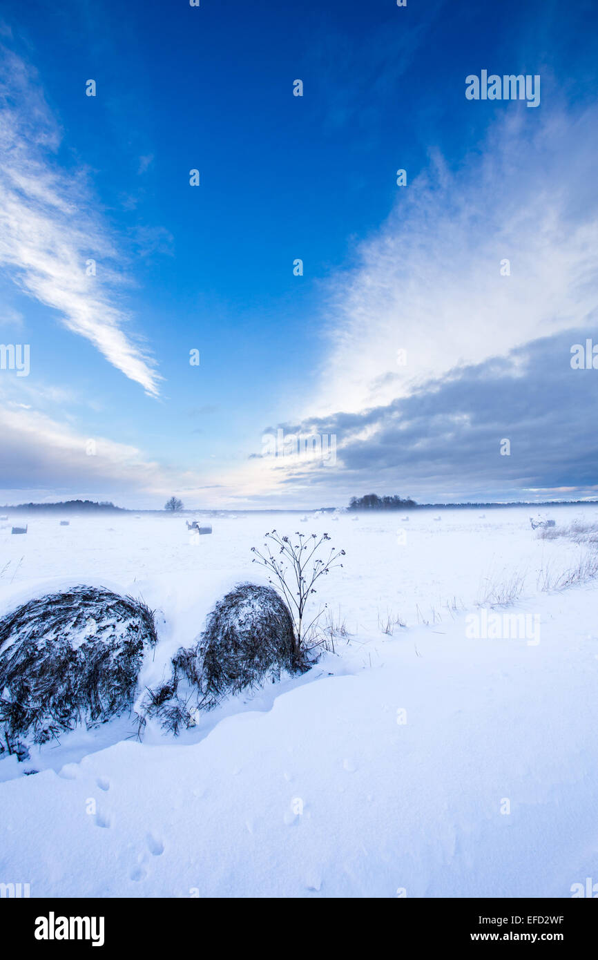 Farmland field under snow - rural nature winter landscape Stock Photo ...