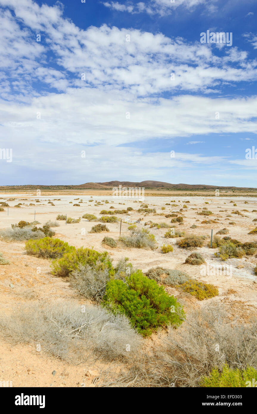 Oodnadatta hi-res stock photography and images - Alamy