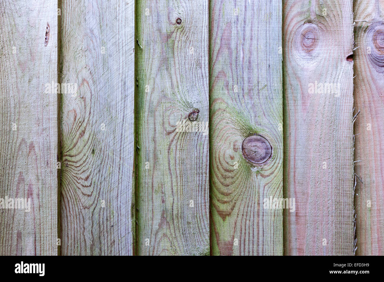 Wooden overlap fencing Stock Photo - Alamy