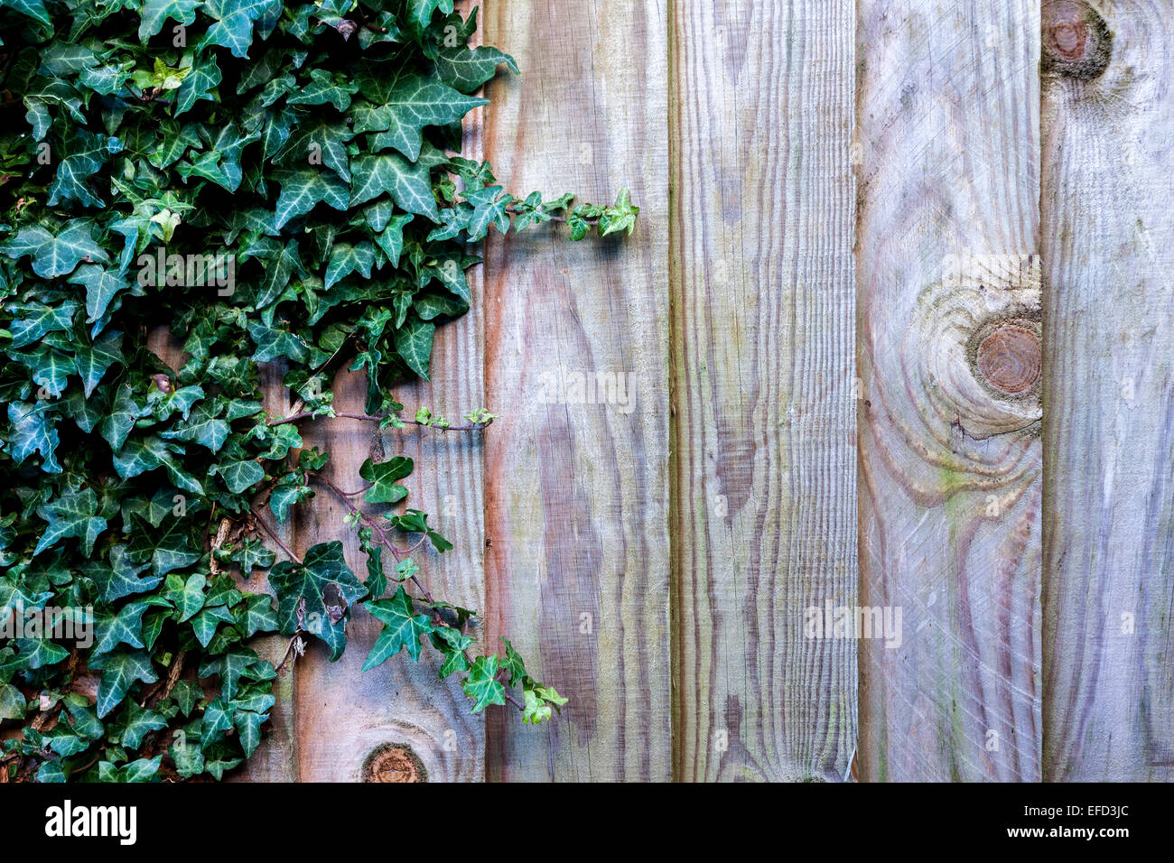 Wooden overlap fencing Stock Photo - Alamy