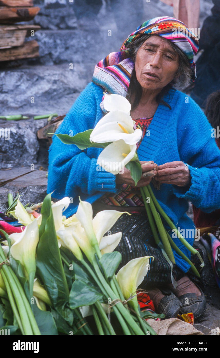 Indigenous flowers hi-res stock photography and images - Alamy
