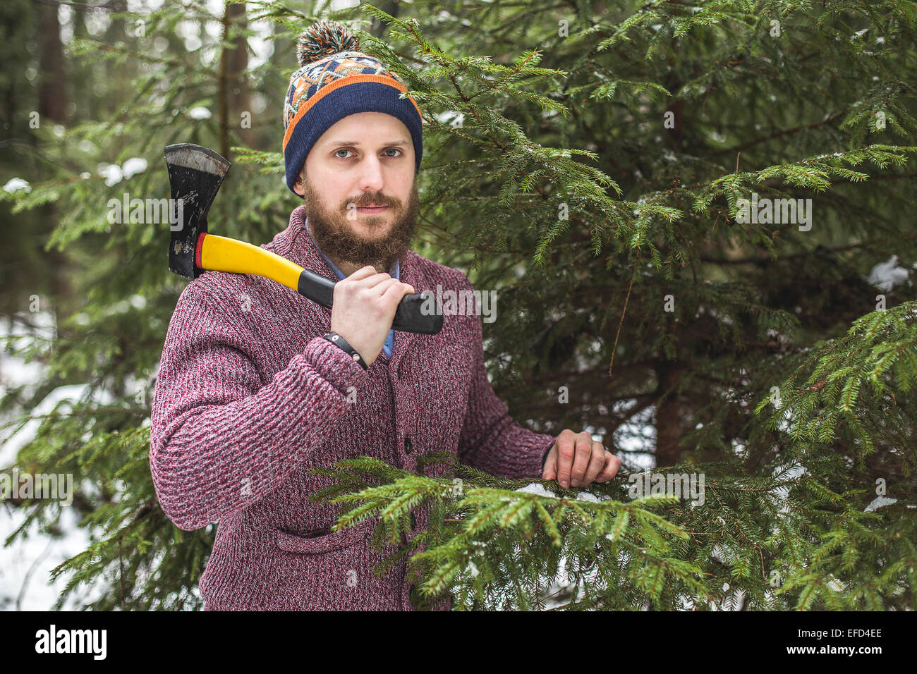 Lumberjack near the christmas tree in forest Stock Photo - Alamy