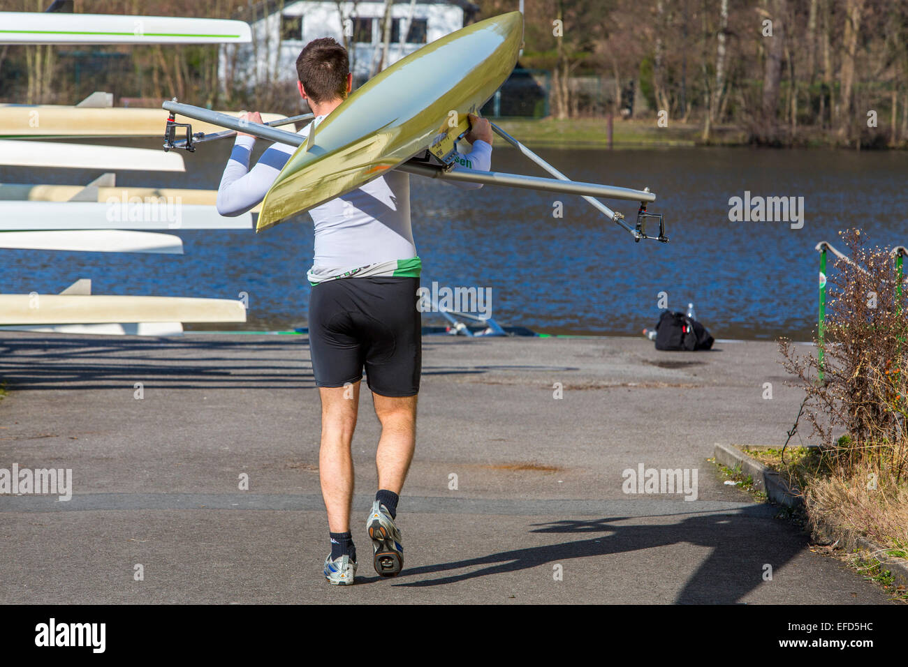 Water sports, at the Essen Baldeneysee, rowing training Stock Photo - Alamy