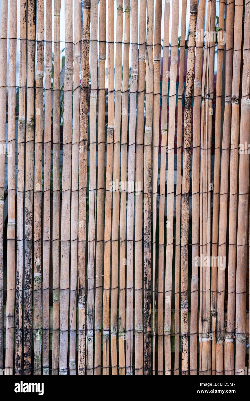 Textures bamboo hi-res stock photography and images - Alamy