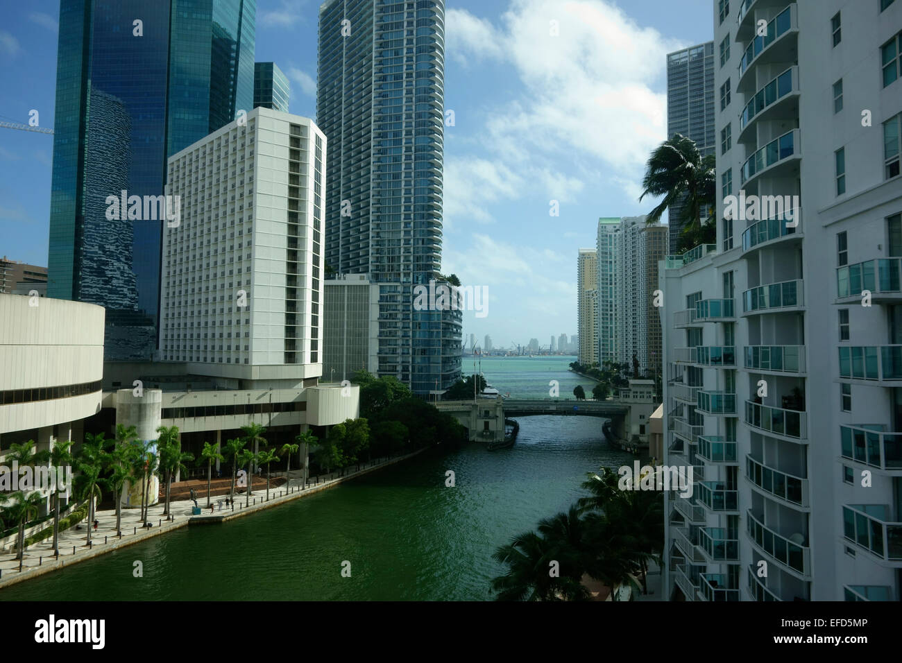 High-rise buildings, Miami river, Miami, Florida, USA Stock Photo - Alamy