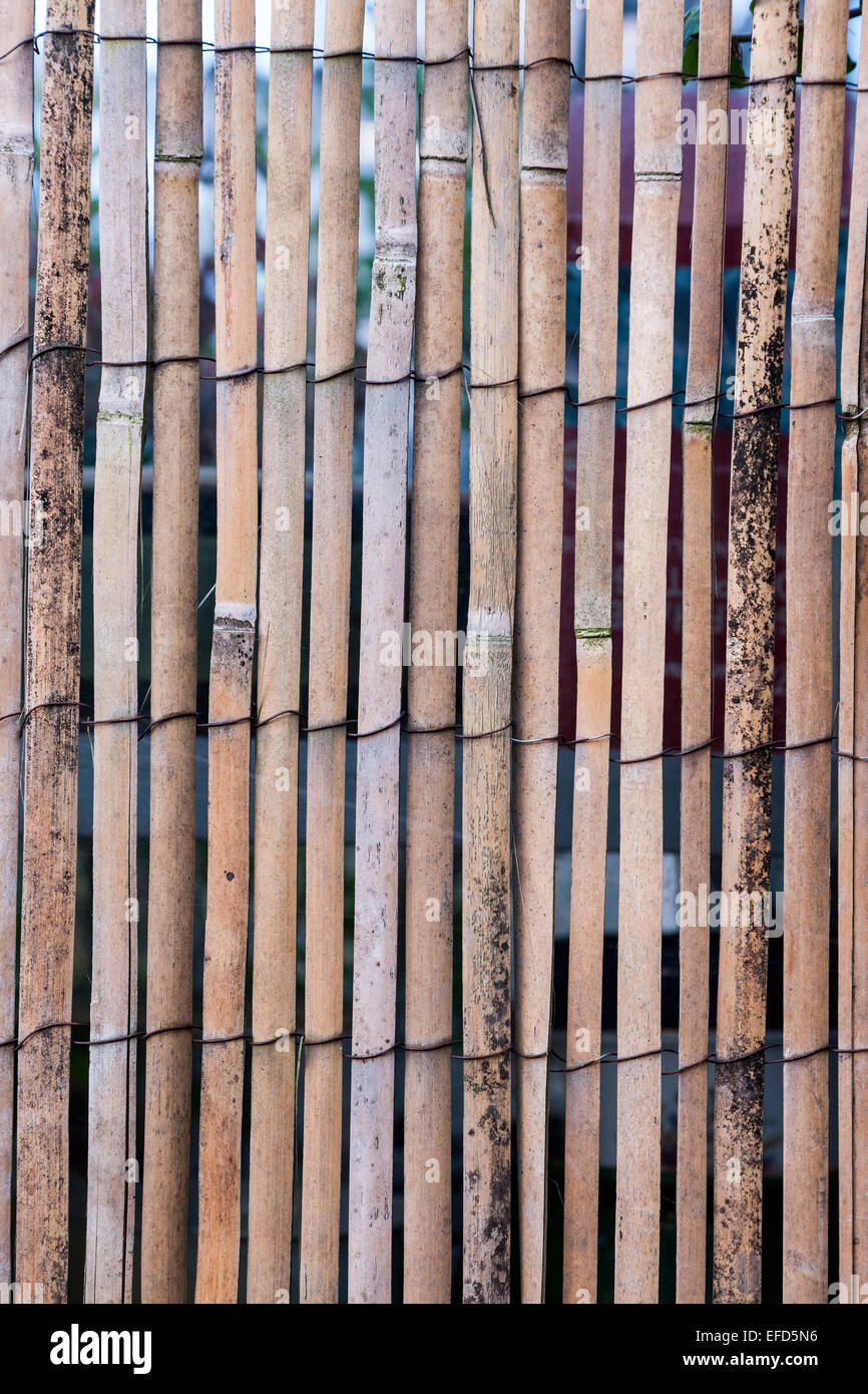 Textures. Bamboo Screen fencing Stock Photo - Alamy