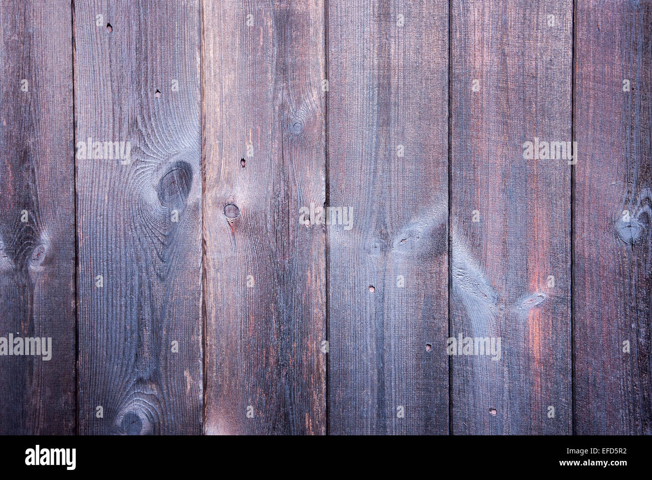 Creosoted paneling on a garden shed Stock Photo - Alamy
