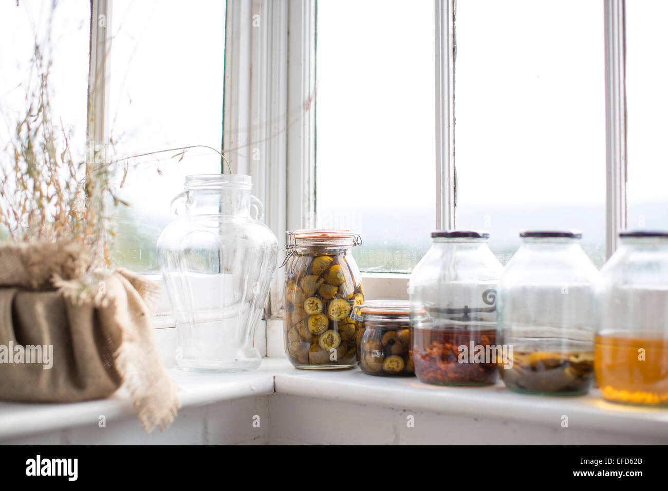 Various glass jars of pickles and pickled food in the sun light on a ...