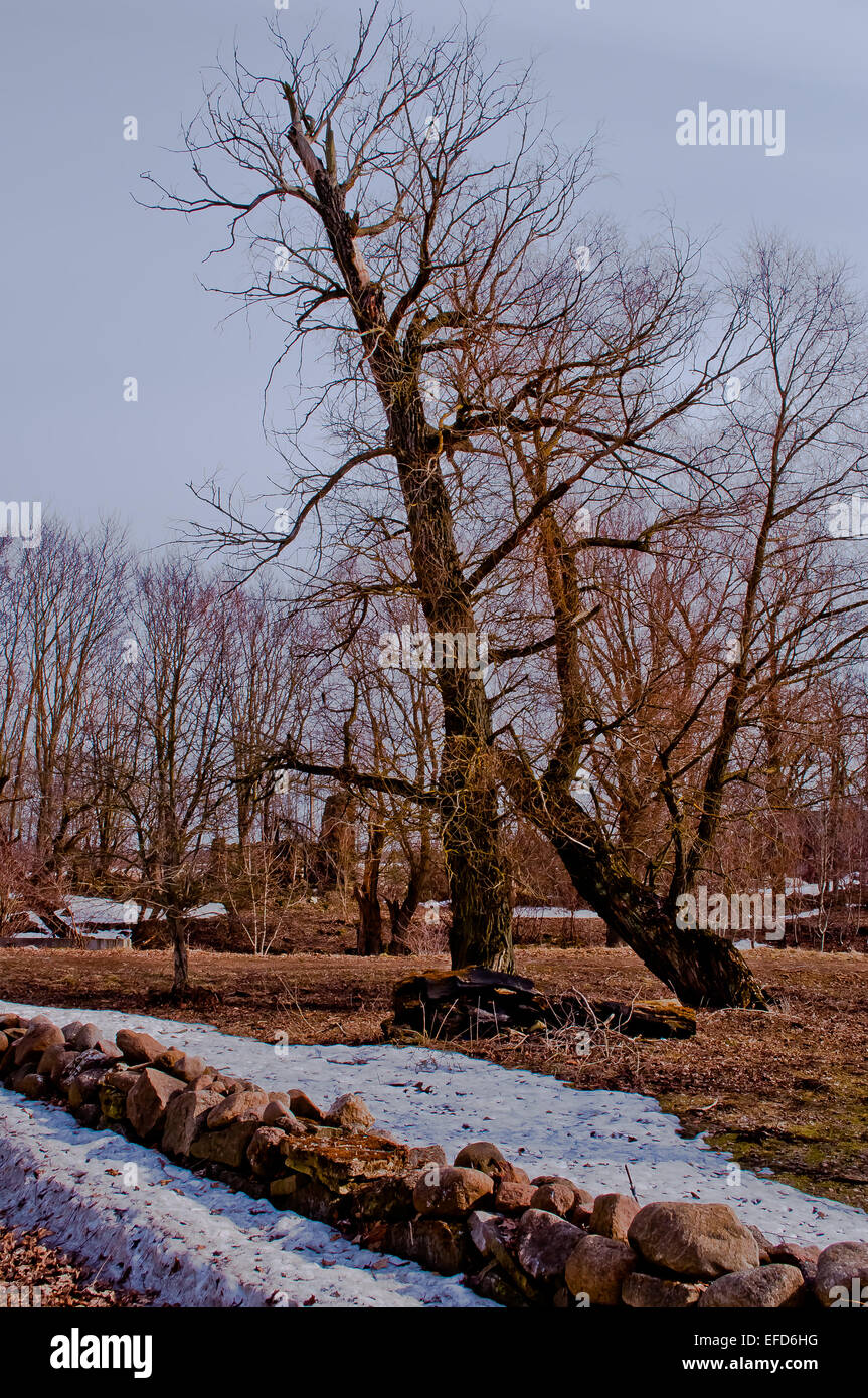 Elms field hi-res stock photography and images - Alamy