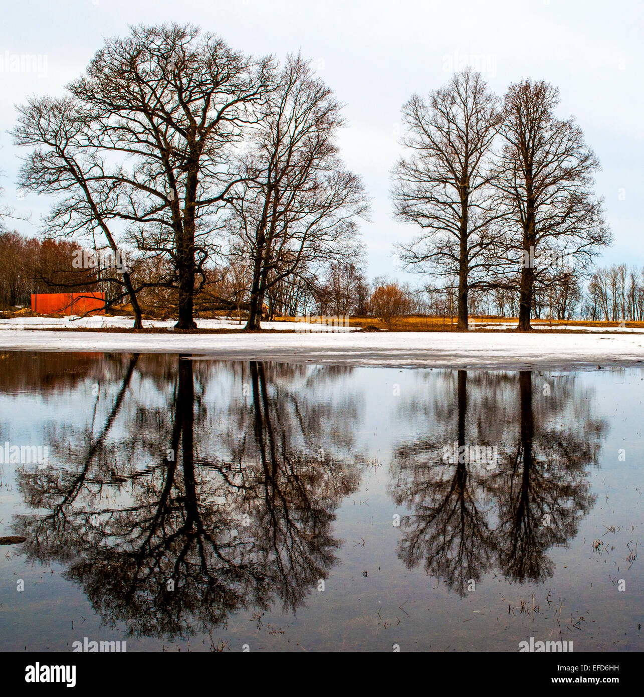 Spring in reflections Stock Photo - Alamy