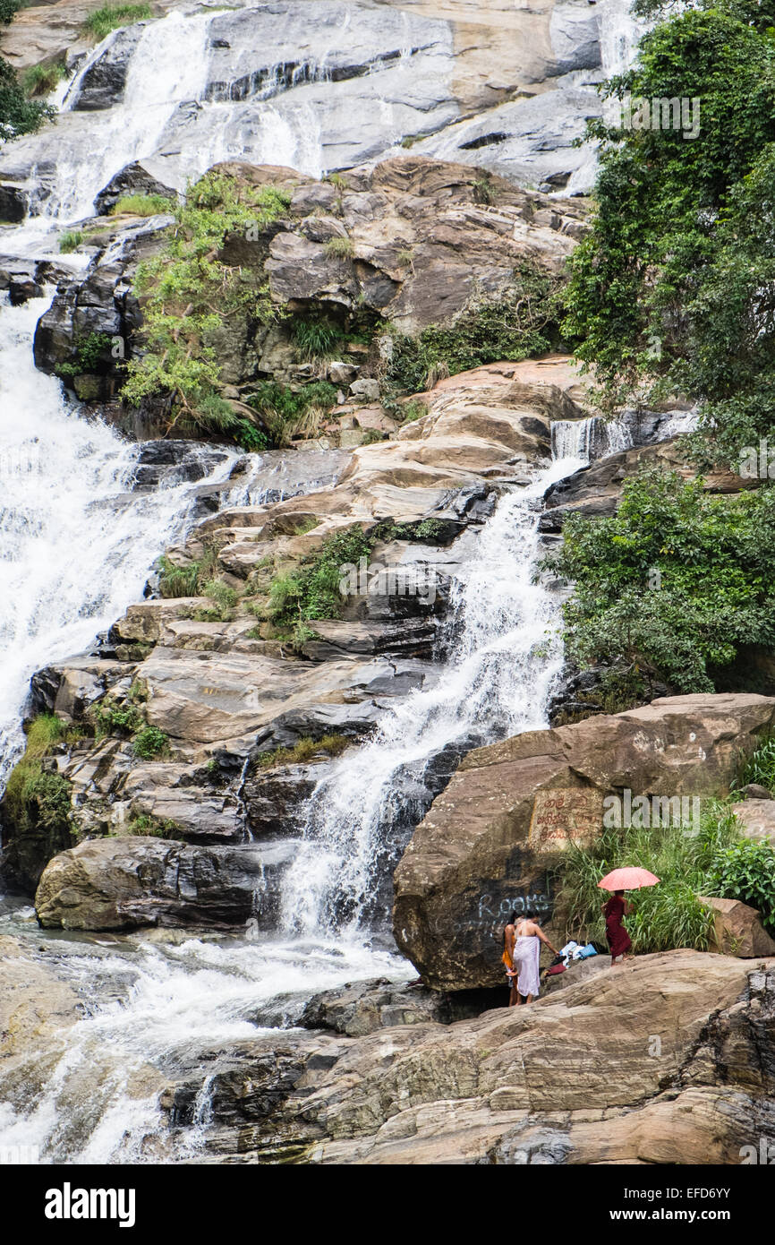 Indian train tea plantations hi-res stock photography and images - Alamy