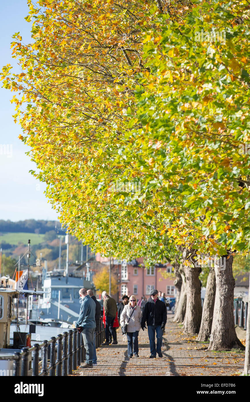 People walk in the warm autumn sunshine under golden trees along ...