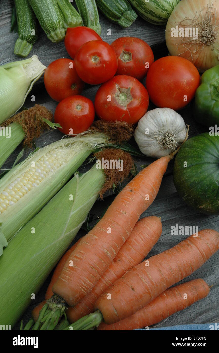 Home grown vegetables Stock Photo - Alamy