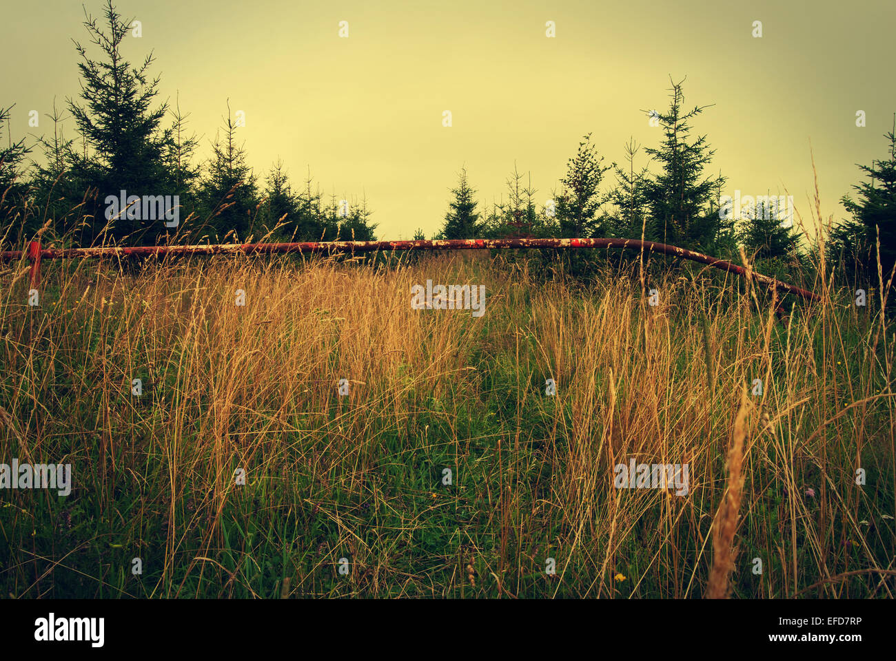 Road blocking gate hi-res stock photography and images - Alamy