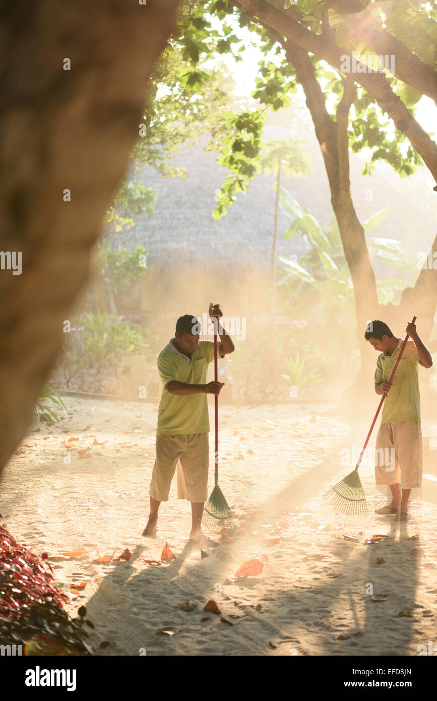 Man or Men raking leaves in a Maldives Island. Sweeping the sandy ...