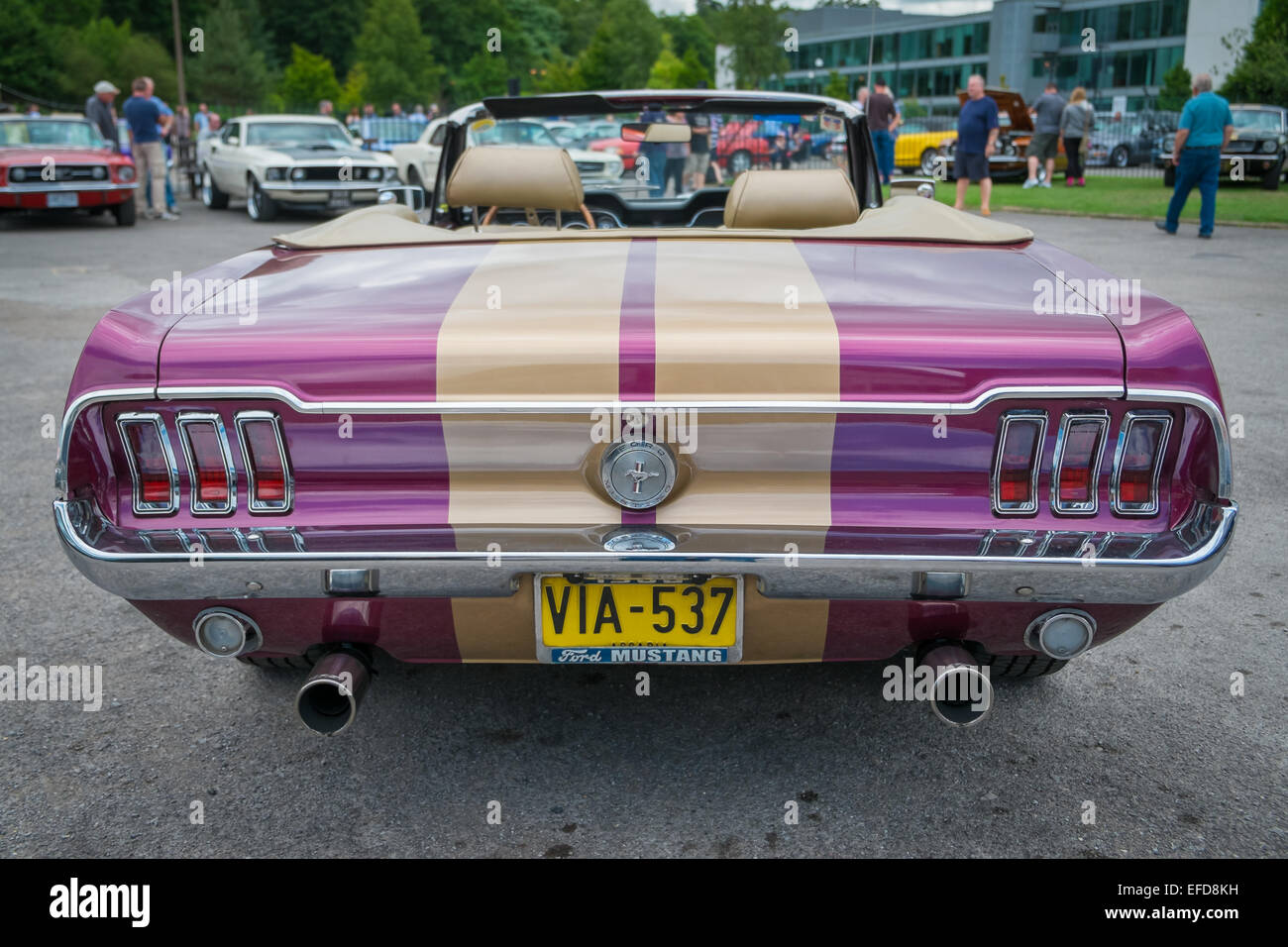Mustang Rare Sight In Uk , The Elusive Hunt: Rarest Ford Cars – LZBN