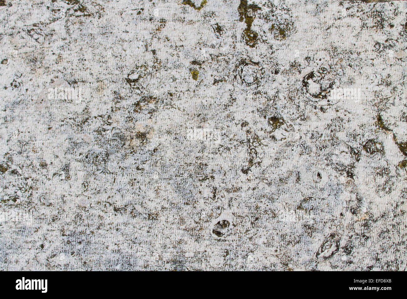 Detail of the white stone wall Stock Photo - Alamy