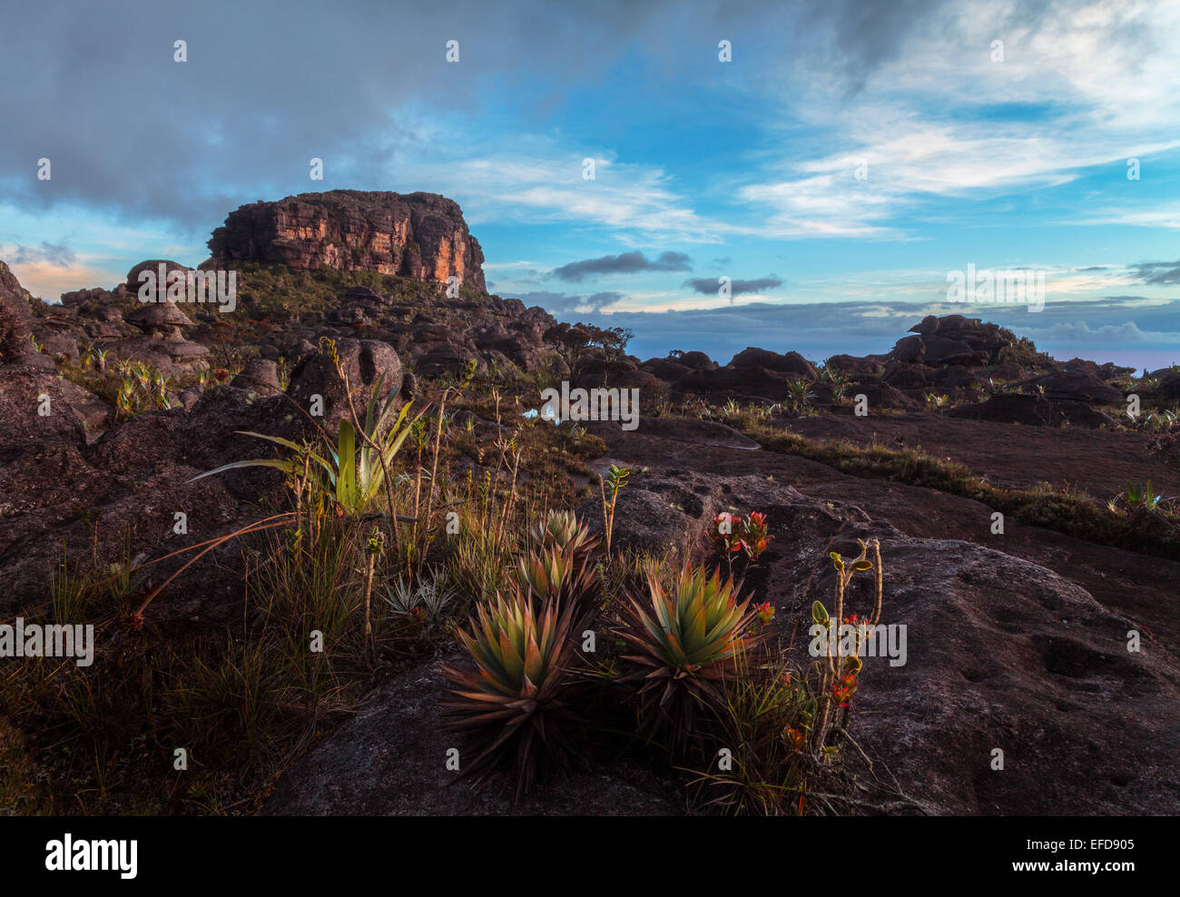 Mount roraima clouds hi-res stock photography and images - Alamy