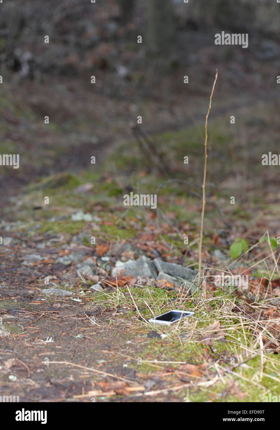 Cellphone lost on walking track in forest Stock Photo - Alamy