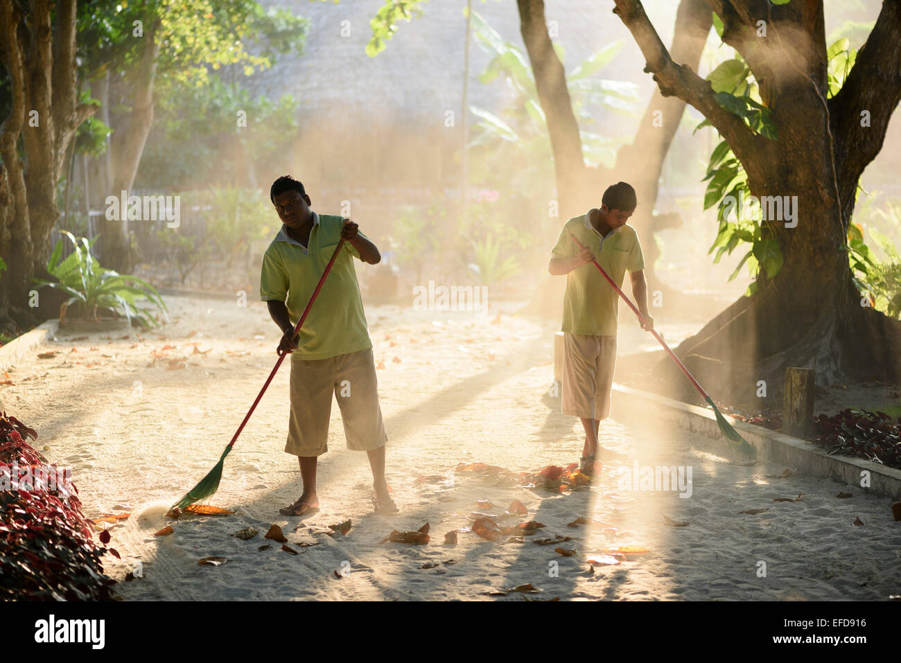 Man or Men raking leaves in a Maldives Island. Sweeping the sandy ...