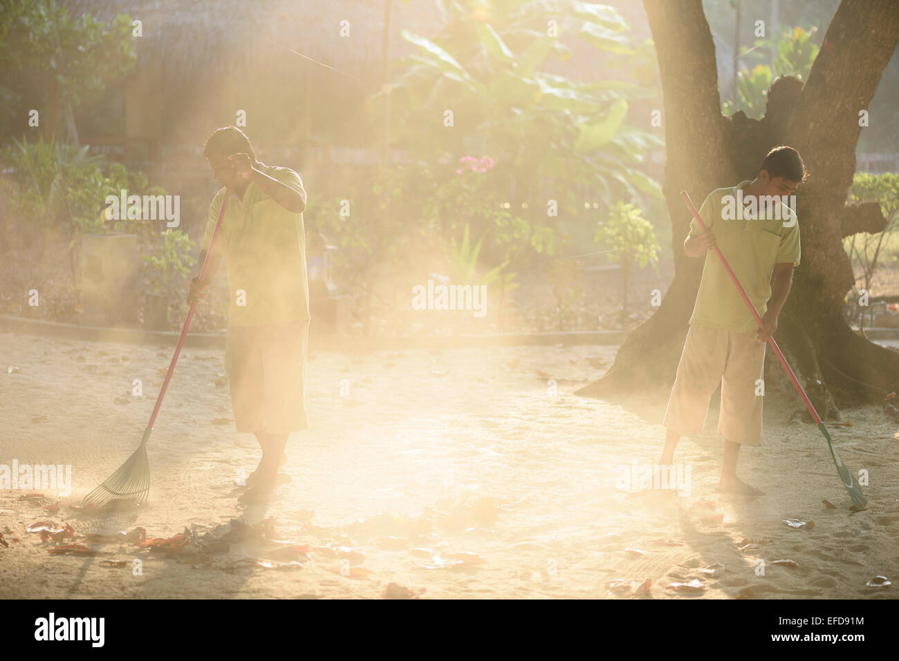 Man or Men raking leaves in a Maldives Island. Sweeping the sandy ...