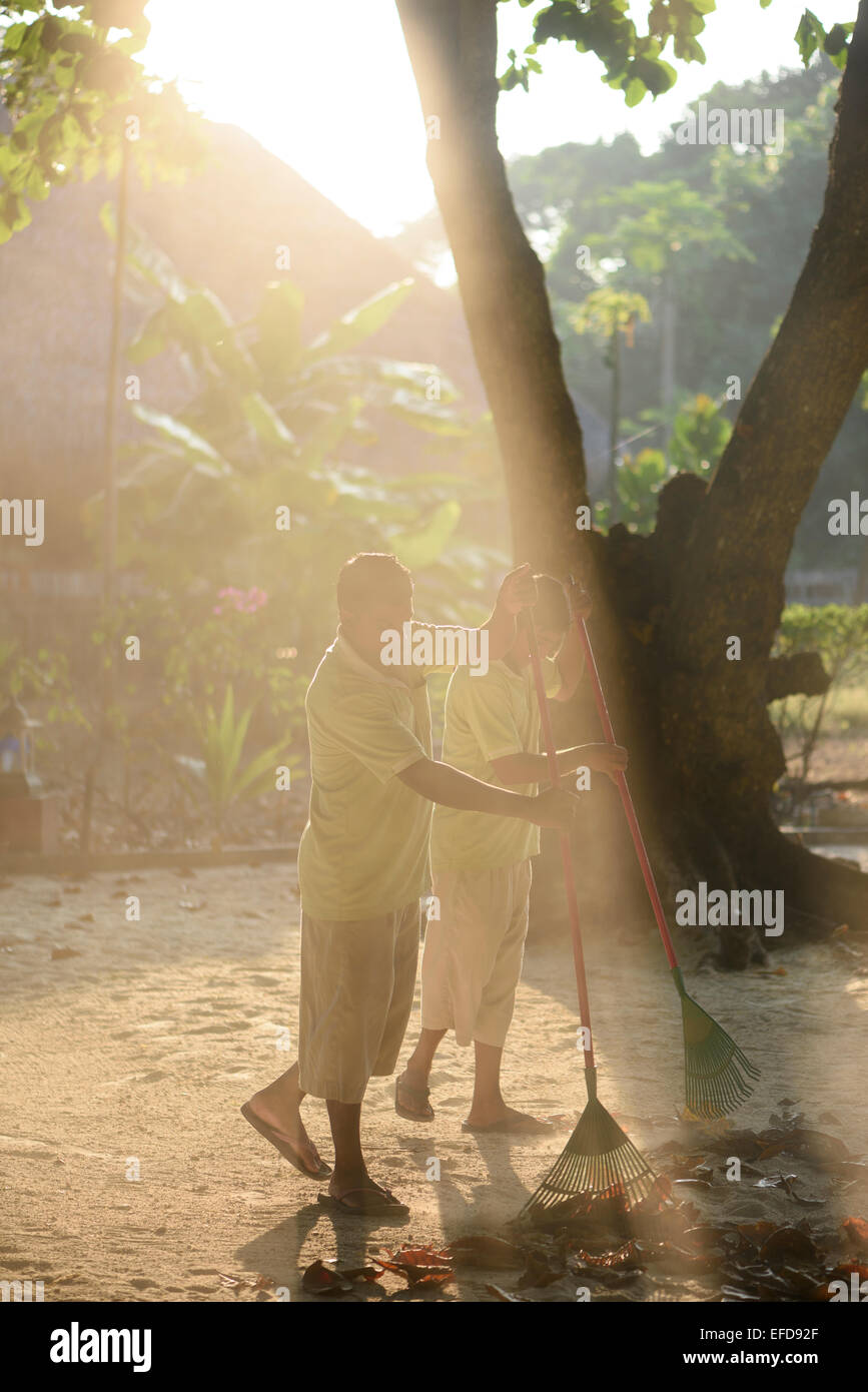 Man or Men raking leaves in a Maldives Island. Sweeping the sandy ...