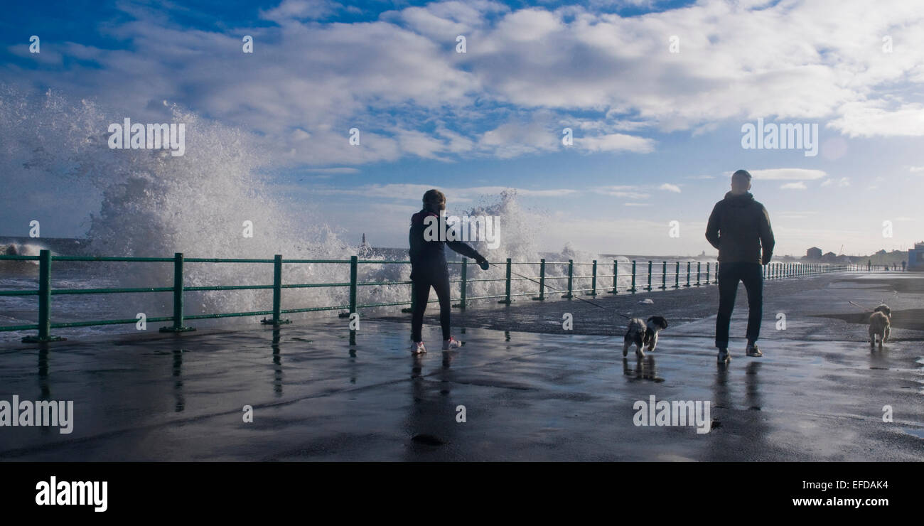 UK Weather: Sunderland, UK. 1st February, 2015. Stormy seas pound the ...