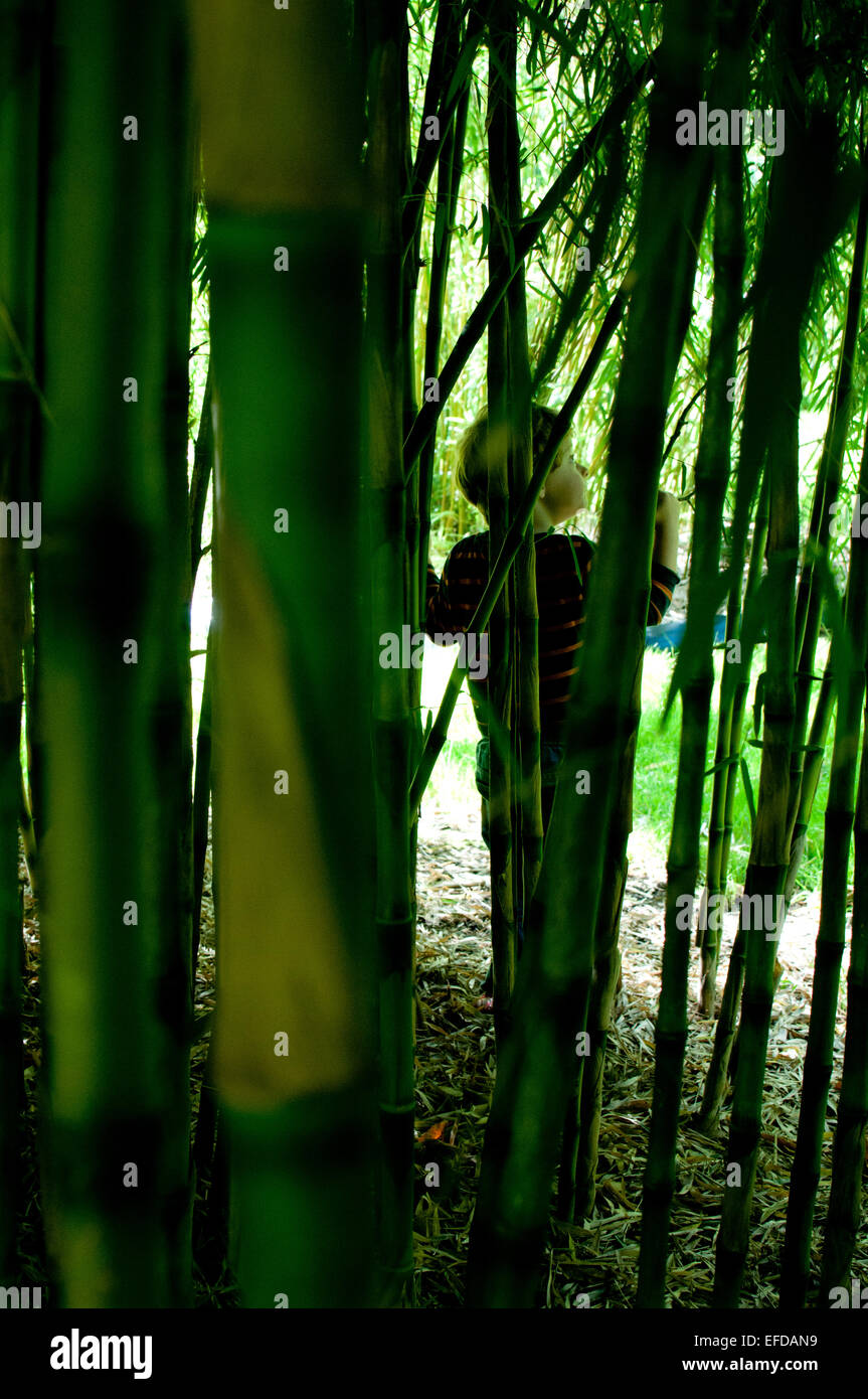Bamboo boy hi-res stock photography and images - Alamy